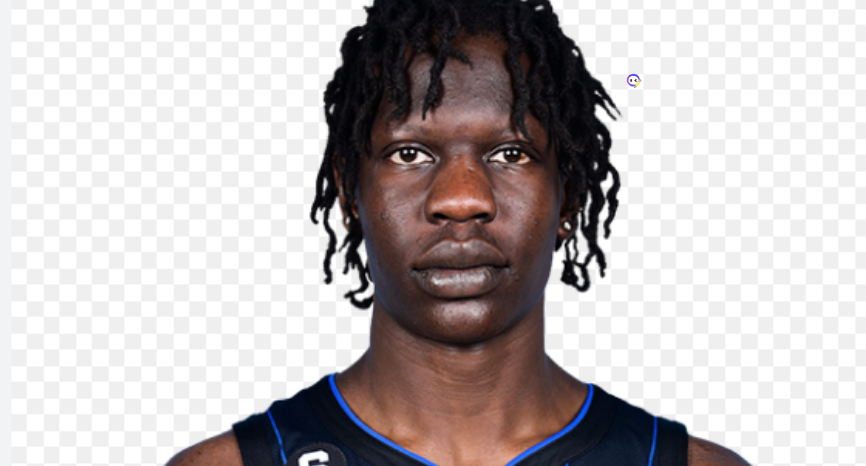 Bol Bol Stats: Nuggets Game Breakdown