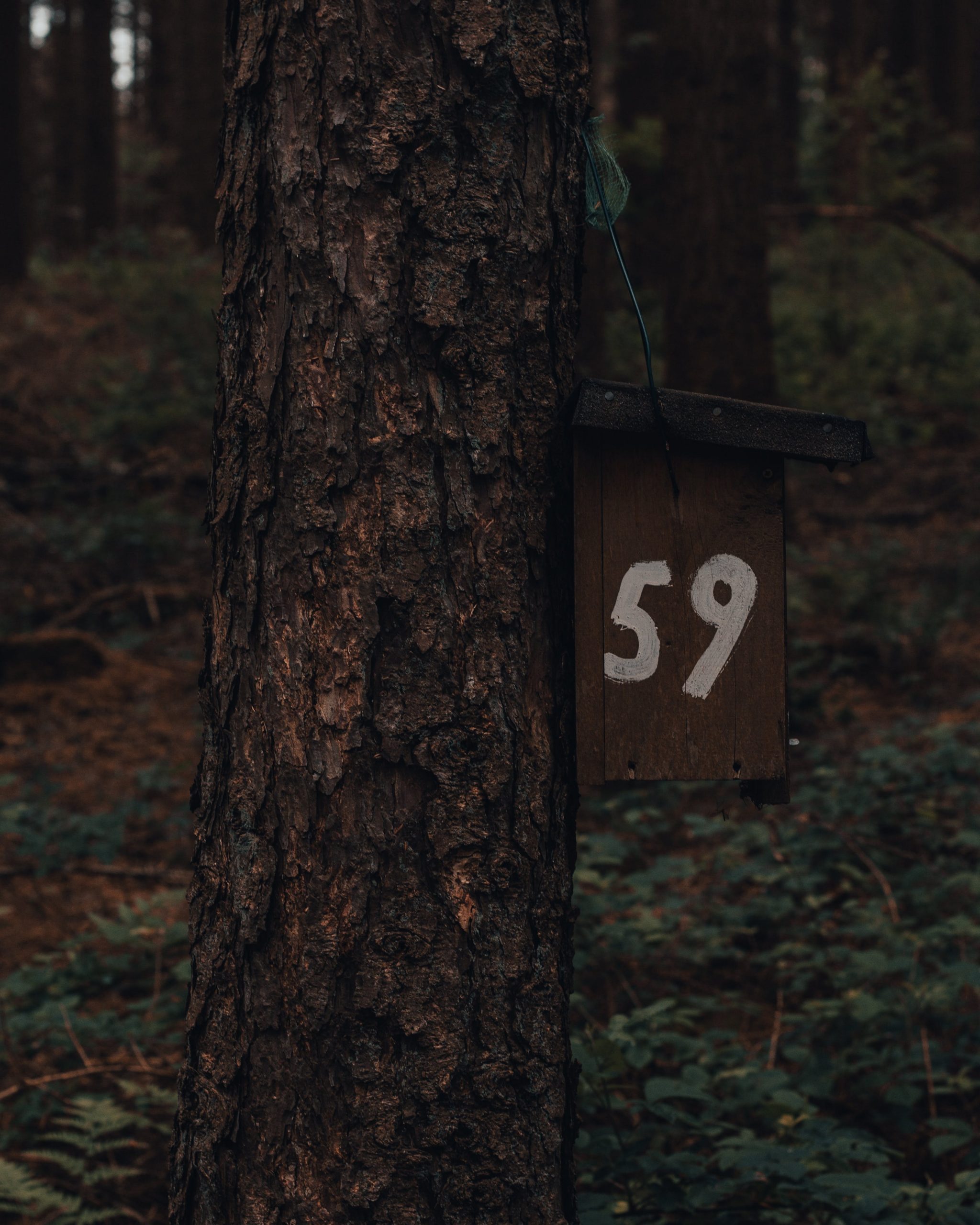 8056377243: Unraveling the Mystery Behind the Numbers